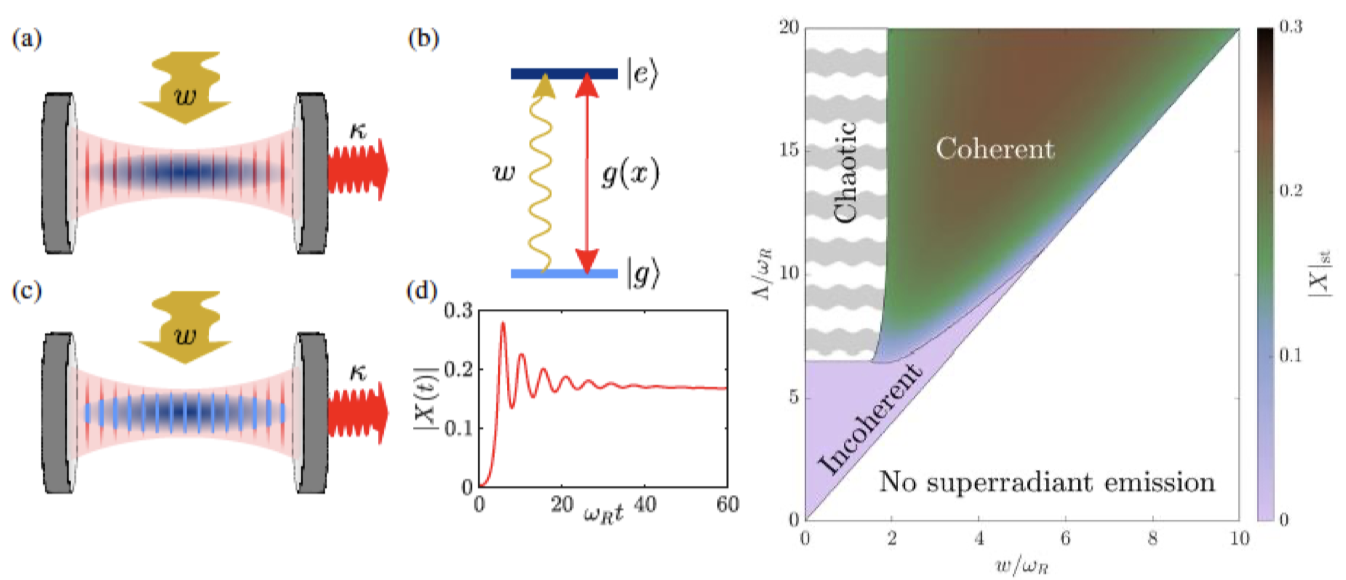 D02 – Spatio-temporal structures in interacting spin systems › QuCoLiMa ...